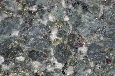 Verde Butterfly - New Marble & Granite