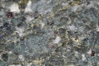 Verde Butterfly - New Marble & Granite